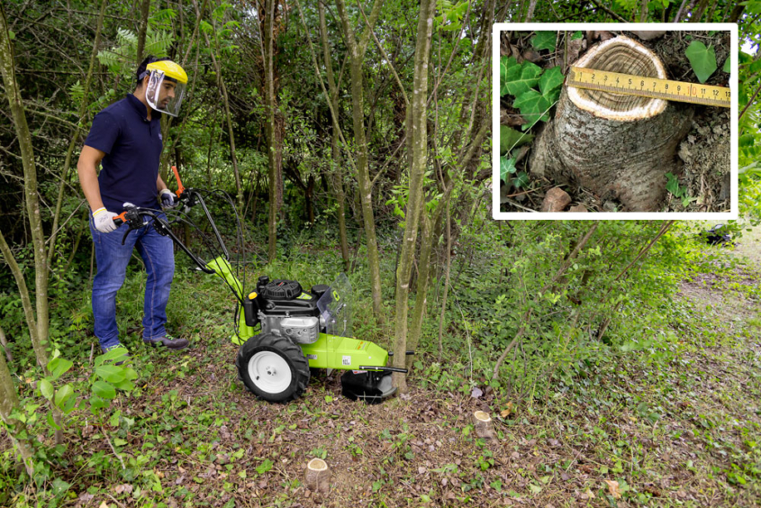 GRILLO HWT 700 SUPERTRAC WHEELED TRIMMER | Agpower