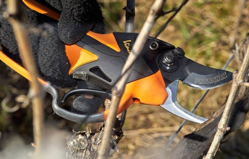 PELLENC VINION 150 35MM SECATEURS KIT | Agpower